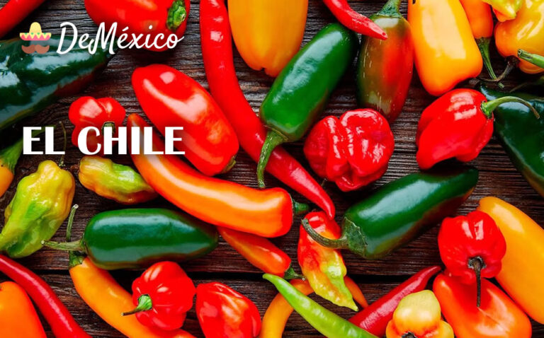 El chile, el sabor mítico de México – DeMéxico